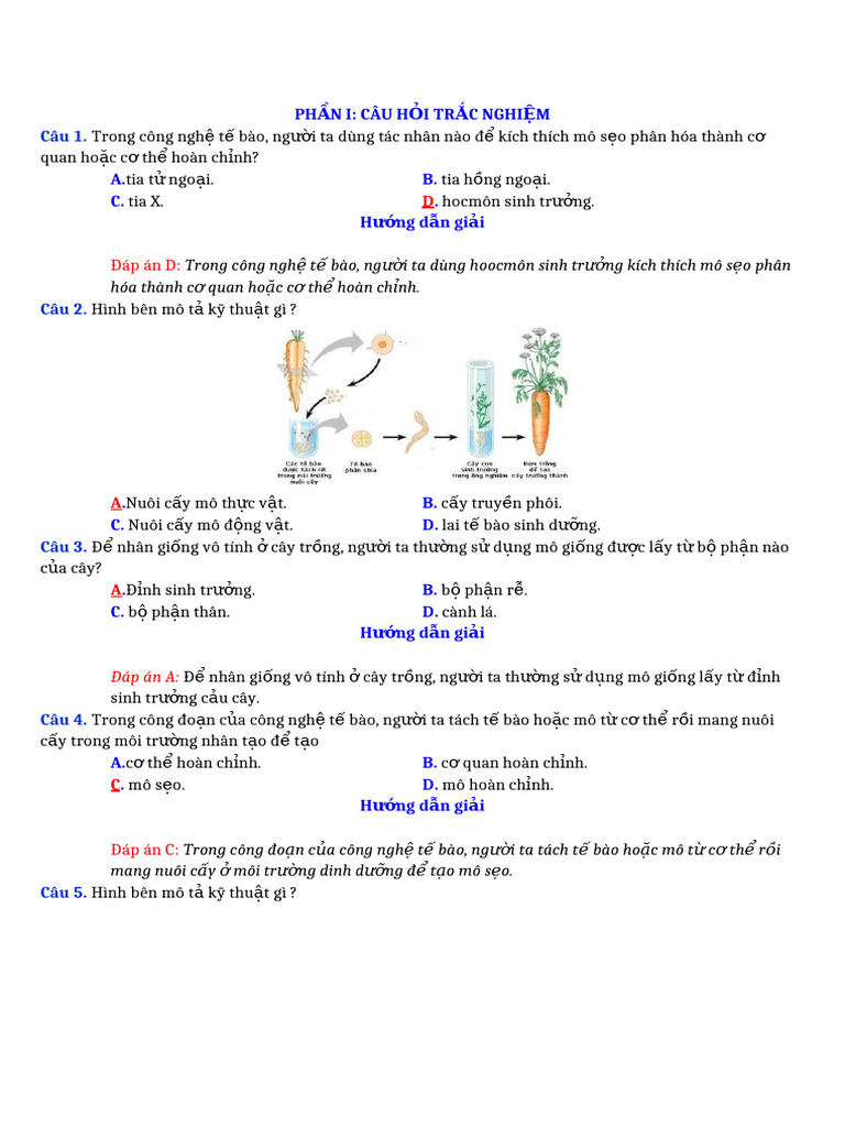 (7) Đề+ Hdg Câu Hỏi Trắc Nghiệm | PDF