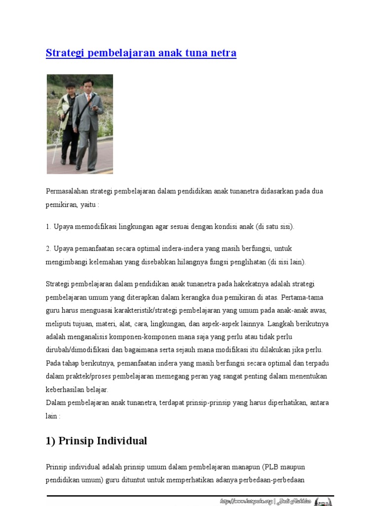 Pembelajaran Tuna Netra | PDF
