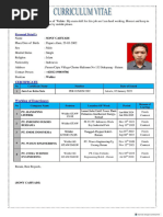 CV FEBY SAPUTRA SIREGAR | PDF