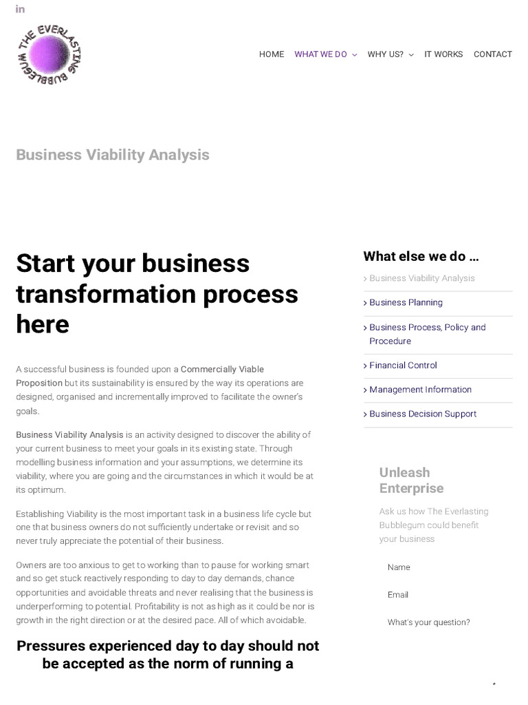 Business Viability Analysis - The Everlasting Bubblegum | PDF ...