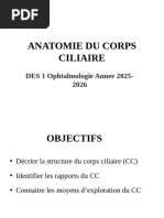 Anatomie de la Conjonctive Oculaire | PDF | Cornée | Épithélium
