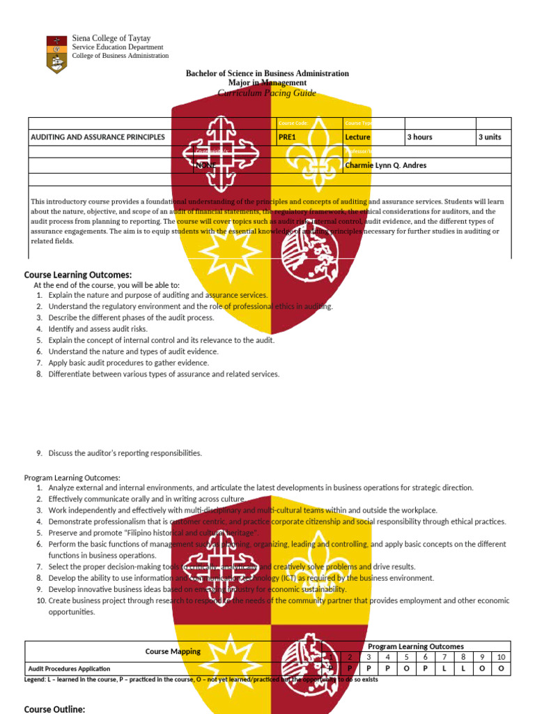 CPG - Auditing and Assurance Principles | PDF | Audit | Internal Control