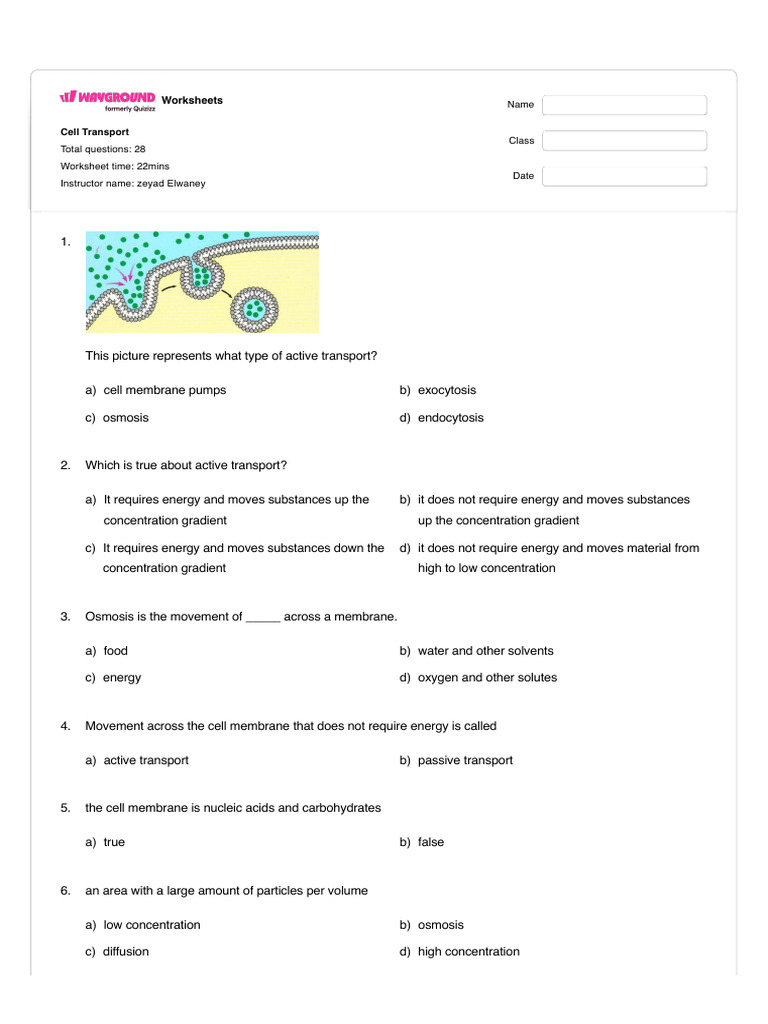 Active Transport and Osmosis Worksheets | PDF | Osmosis | Cell Membrane