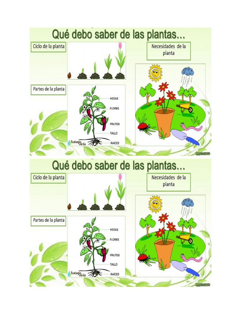 Documento Sin Título (2) | PDF