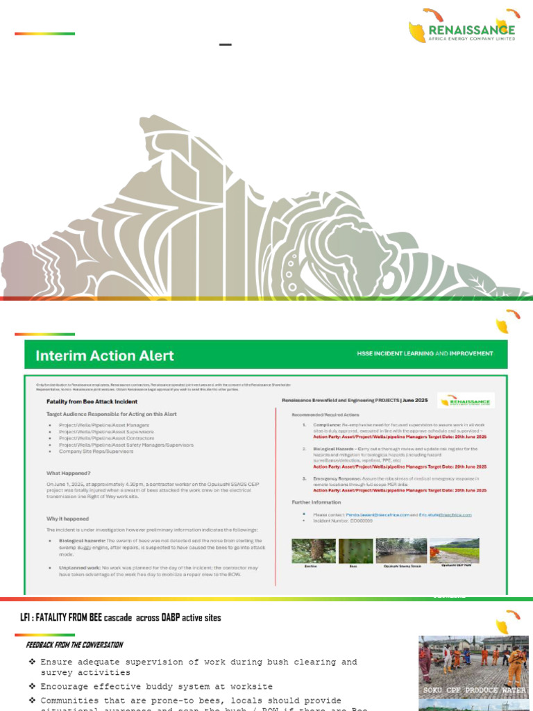 Bee Attack Safety Protocols and Prevention | PDF | Occupational Safety ...