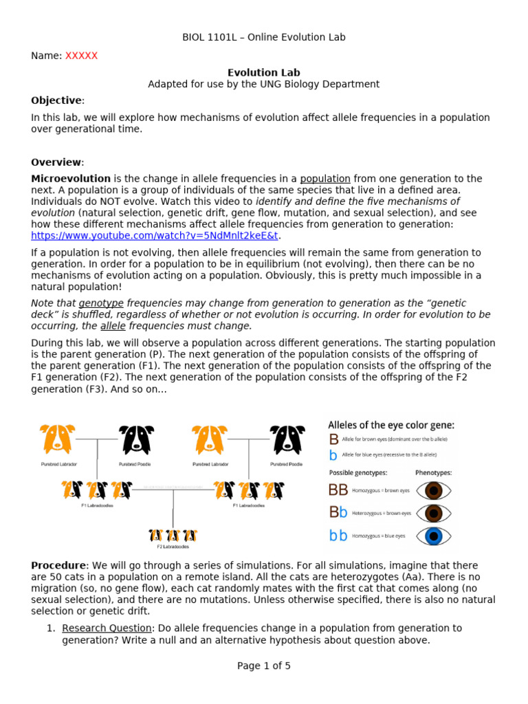Online Evolution Lab (1) | PDF | Zygosity | Evolution