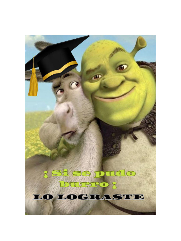 Lo Lograste Burro | PDF
