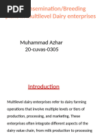 Beef Cow Synchronization Protocols | PDF | Cattle | Land Management