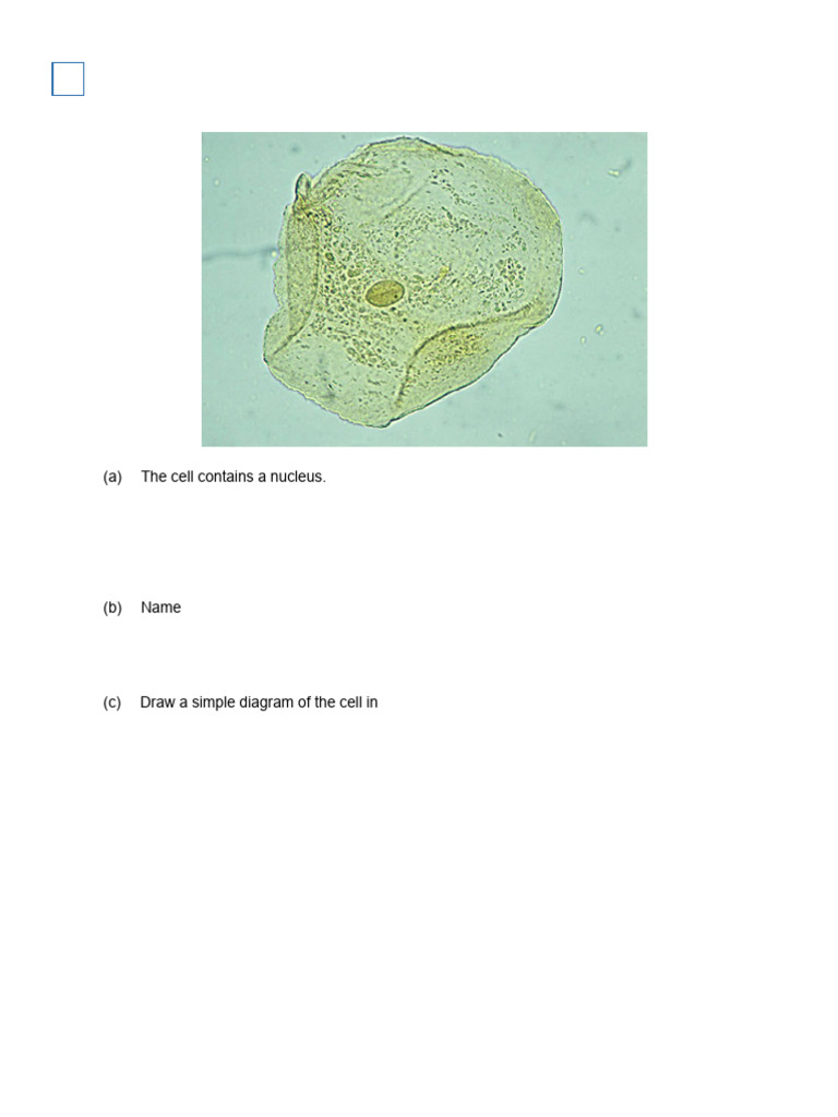 Animal and Plant Cell Structure Quiz | PDF | Cell (Biology) | Cellular ...