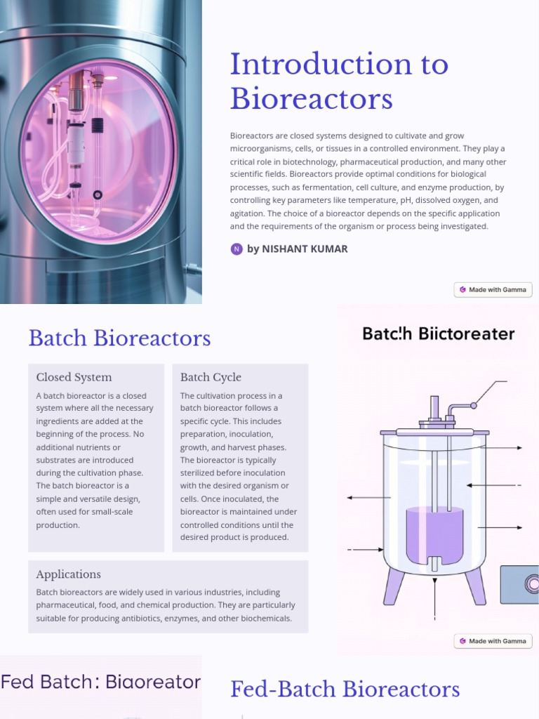 Overview of Bioreactor Types and Uses | PDF | Chemistry | Life Sciences