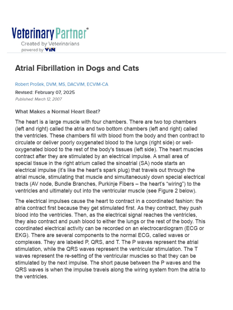 Atrial Fibrillation in Dogs and Cats | PDF | Heart | Atrium (Heart)