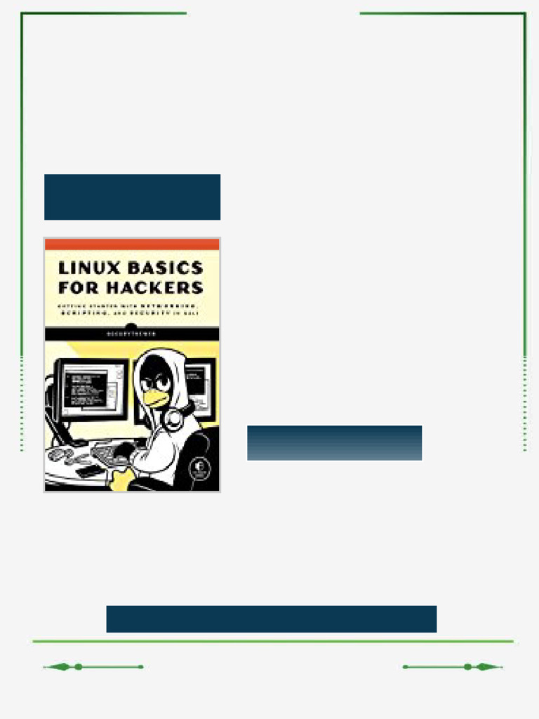 Linux Basics for Hackers Getting Started with Networking Scripting and Security in Kali ...