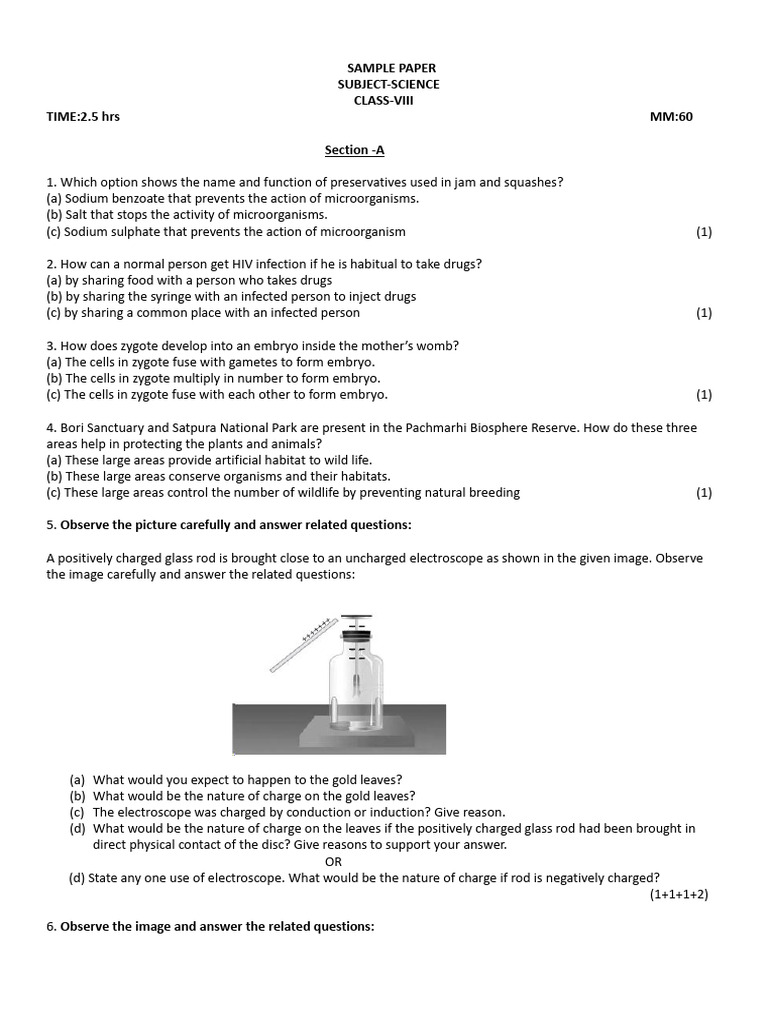 Class VIII Science Sample Paper | PDF | Friction | Mirror
