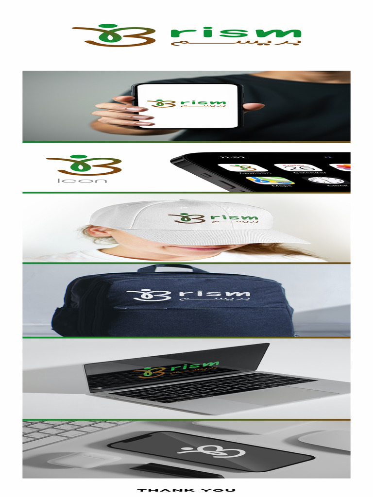 Logo Brism 2 | PDF