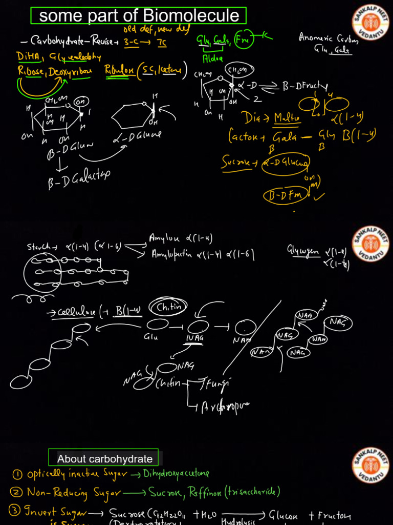 lec 11 | PDF