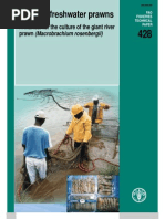 Platinum Elite Op Manual Rev. F | PDF | Exhalation | Respiratory System