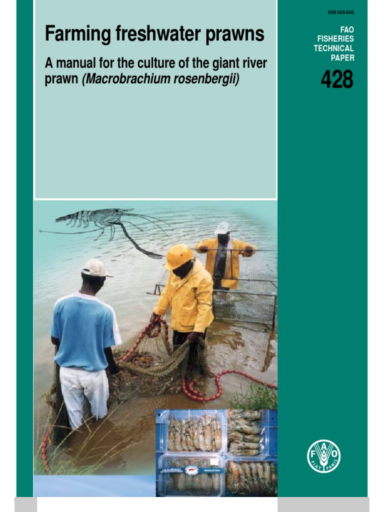 Farming Freshwater Prawns | Shrimp | Aquaculture