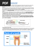 Screenshot 2025-07-16 at 07.05.07 | PDF