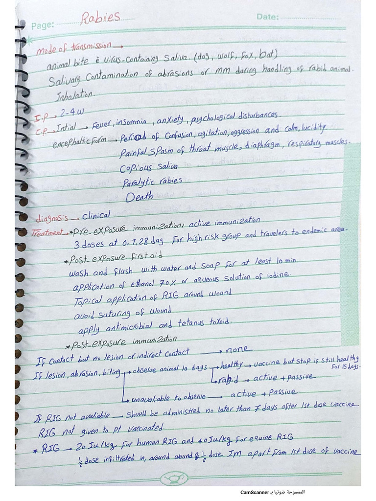 Rabis | PDF