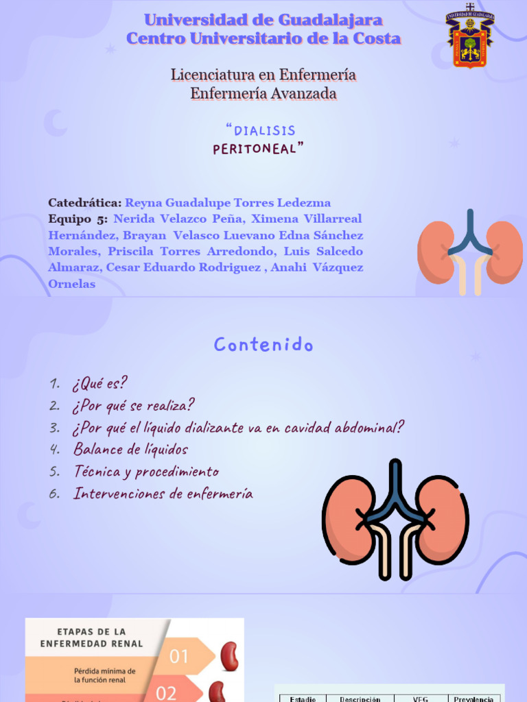 Guía Completa Sobre Diálisis Peritoneal Pdf Peritoneo Farmacocinética