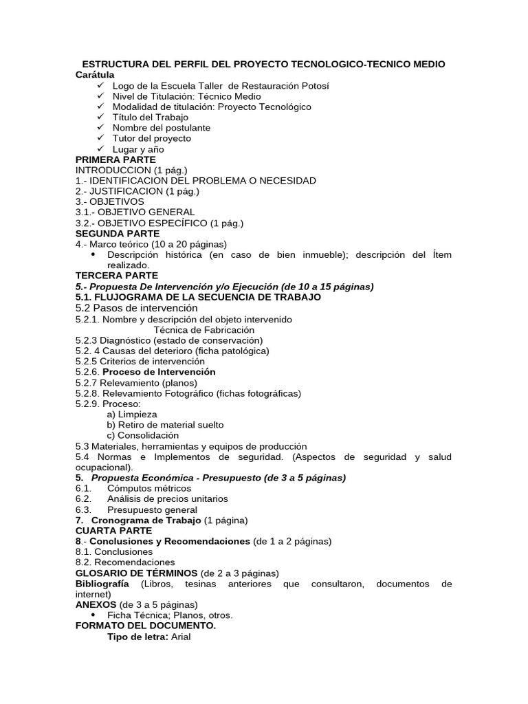 Estructura Del Perfil Del Proyecto Tecnologico- Tecnico Medio | PDF