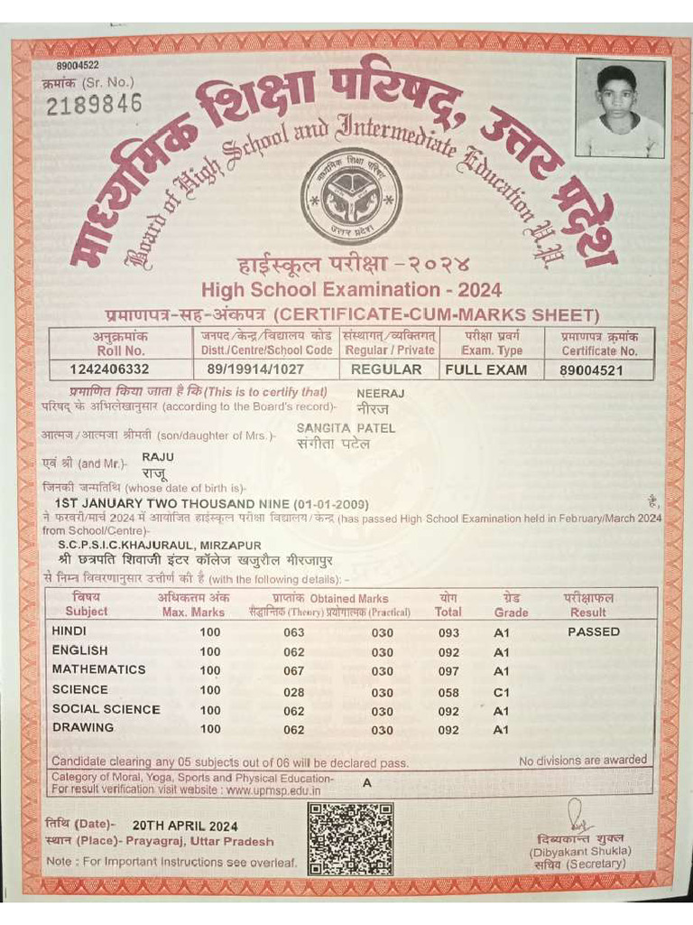 Board Certificate | PDF