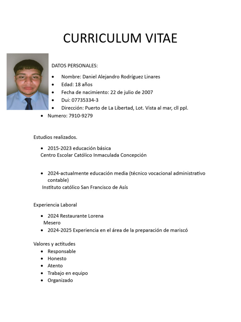 Curriculum Vitae Dani | PDF