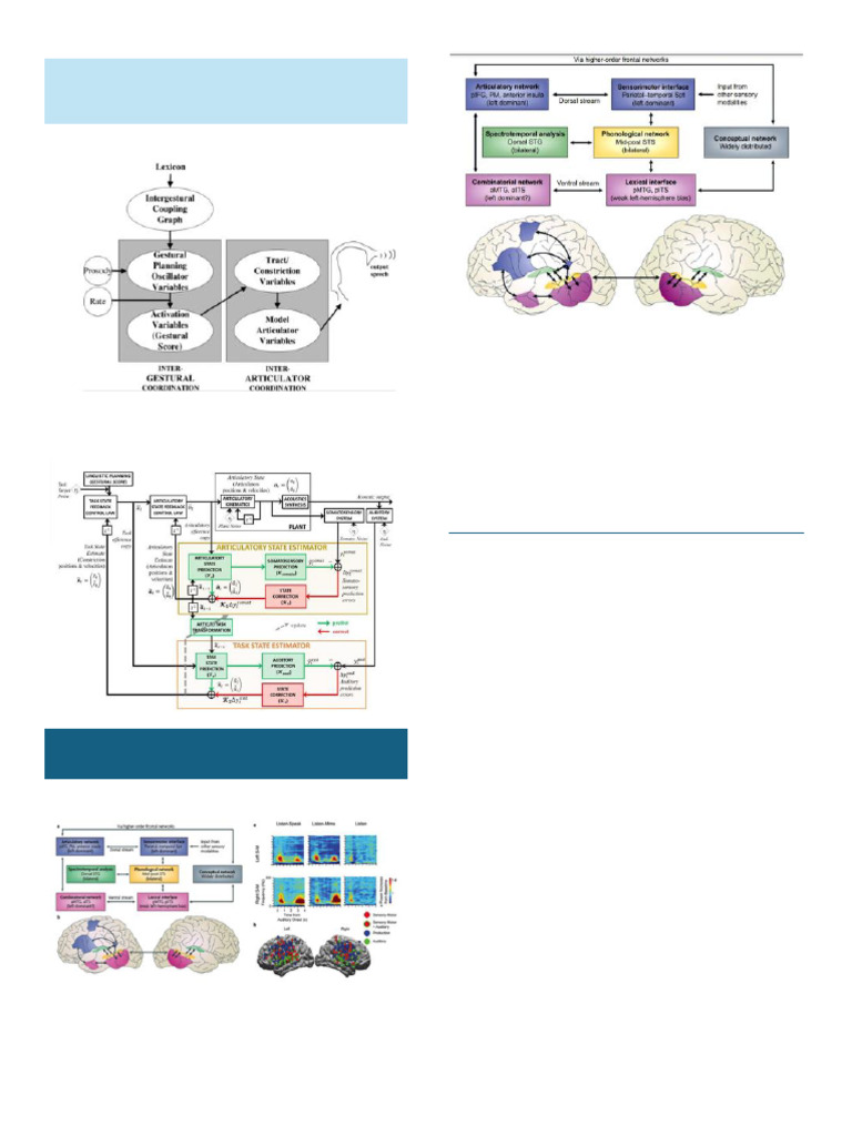 clase 1_240904_003447 | PDF | Habla | Laringe