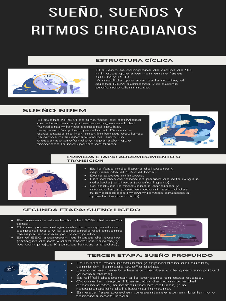 Etapas del Sueño y Ritmos Circadianos | PDF | Ritmo circadiano | Dormir