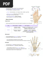 Hand and Wrist Anatomy Overview | PDF | Hand | Joints