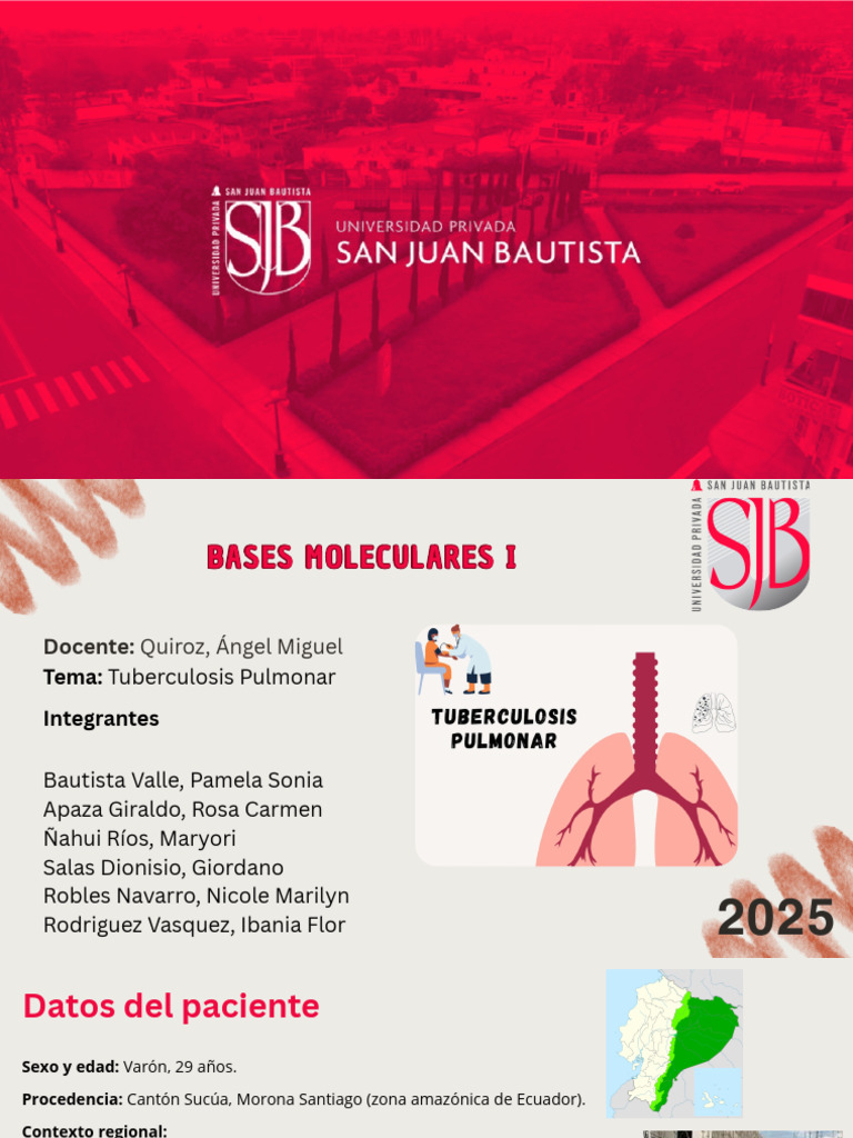 Ppt Lrpd 3 Bases Moleculares | PDF | Tuberculosis | Neumonía