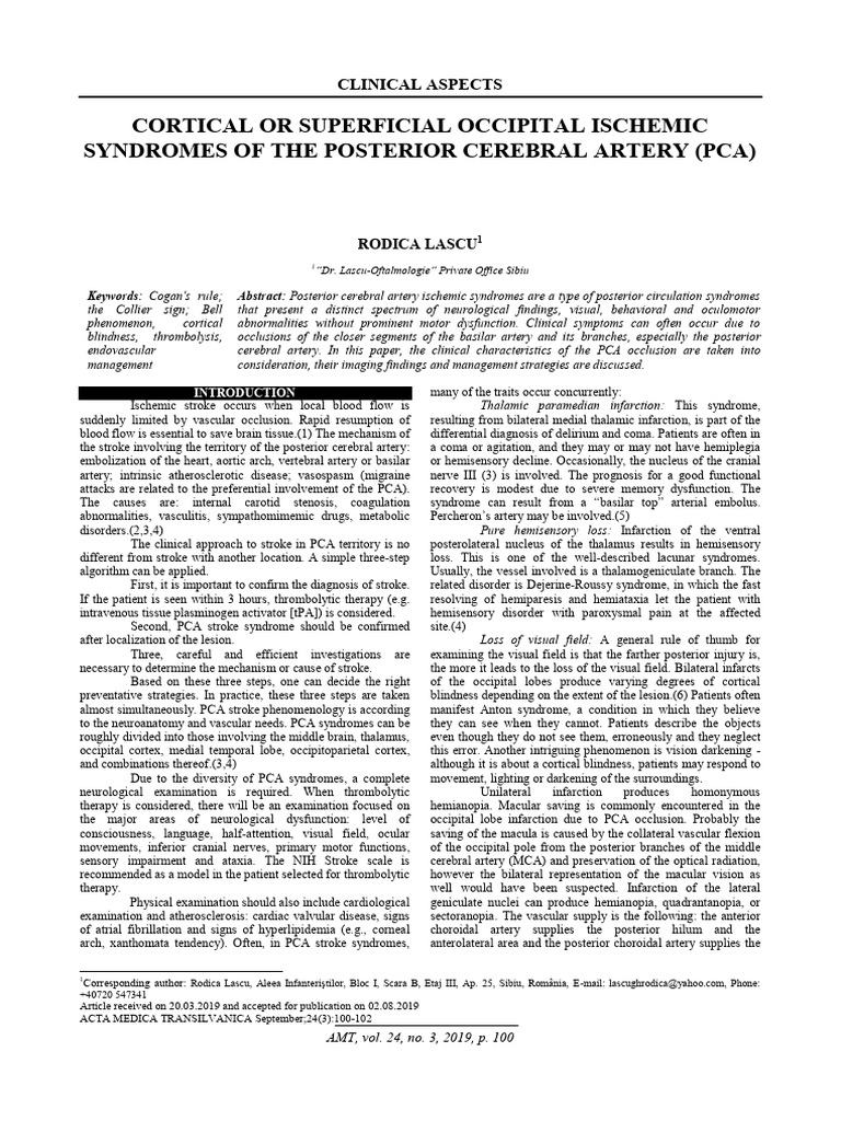 Lascu | PDF | Stroke | Occipital Lobe