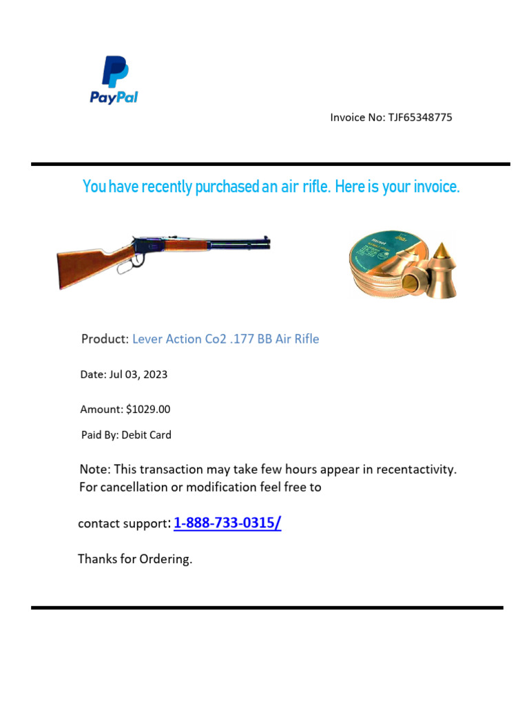 Air Rifle Purchase Invoice TJF65348775 | PDF