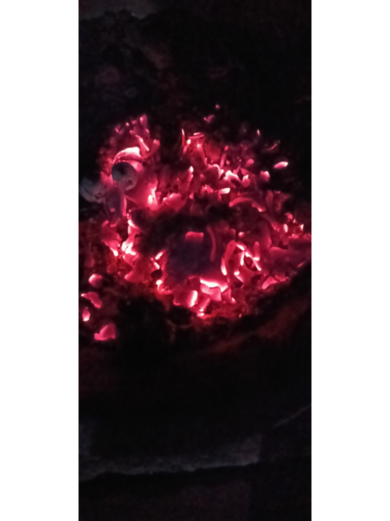 2025-09-28 20-02-07 | PDF