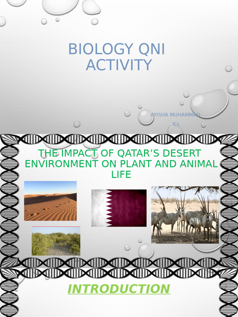 Biology Qni Activity 1 Term | PDF