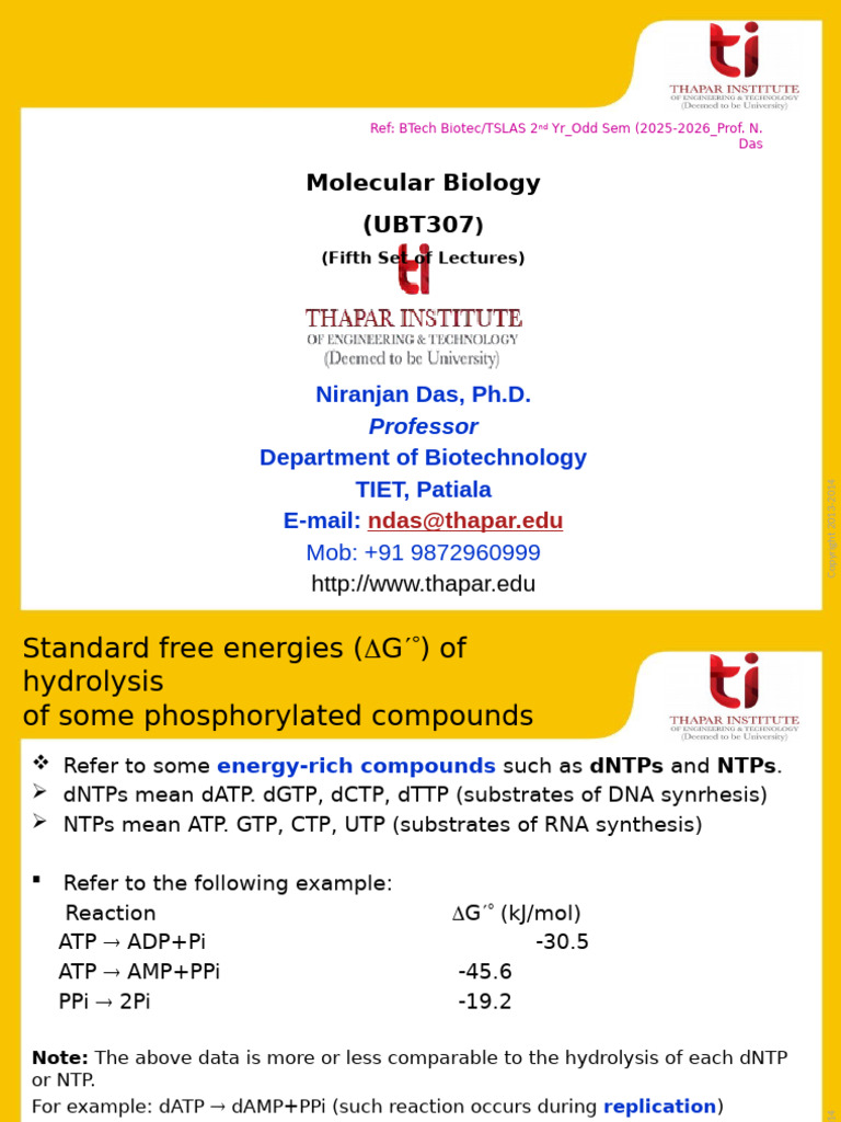 Fifth Set of Lectures - Molecular Biology (UBT307) - Prof. N. Das | PDF ...
