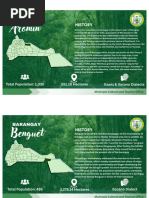 Barangay Sindalan Profile Overview | PDF | Economy Of The Philippines ...