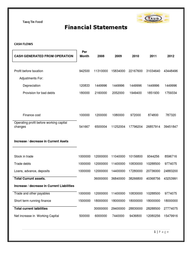 Financial Statements: Tauq Tin Food | PDF | Working Capital | Business ...