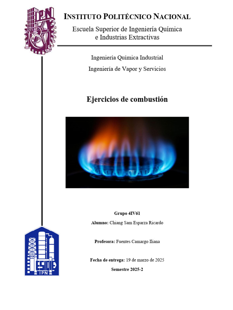 Ejercicios de combustión-Chiang Sam E Ricardo-4IV61 | PDF