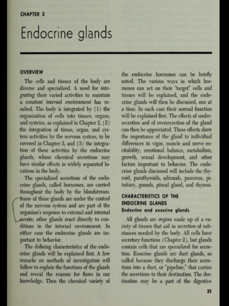 Endocrine | PDF