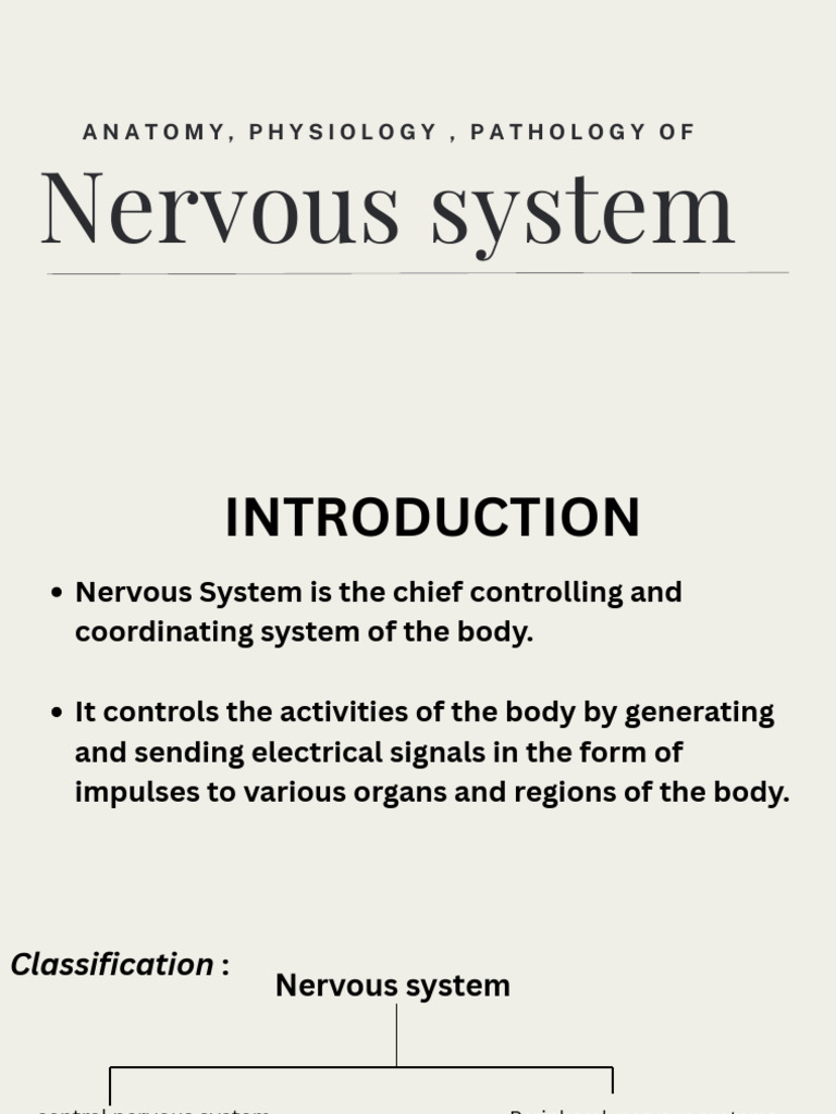 Nervous System: Anatomy and Pathology Overview | PDF | Brain | Cerebellum