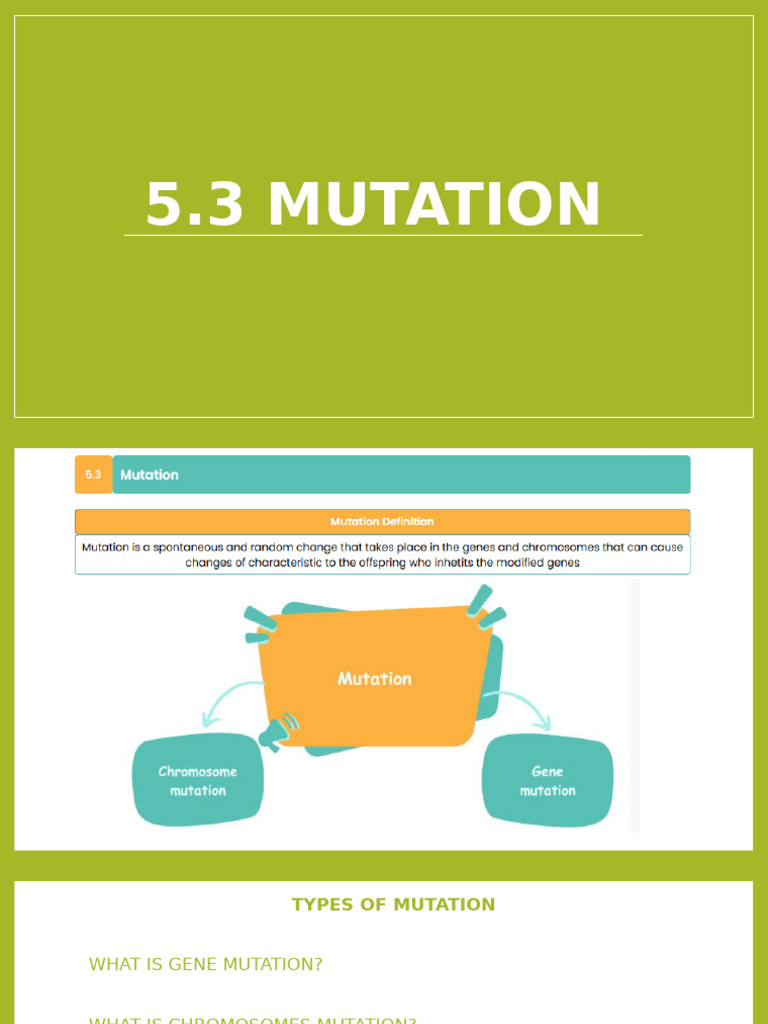 5.3 Mutation | PDF