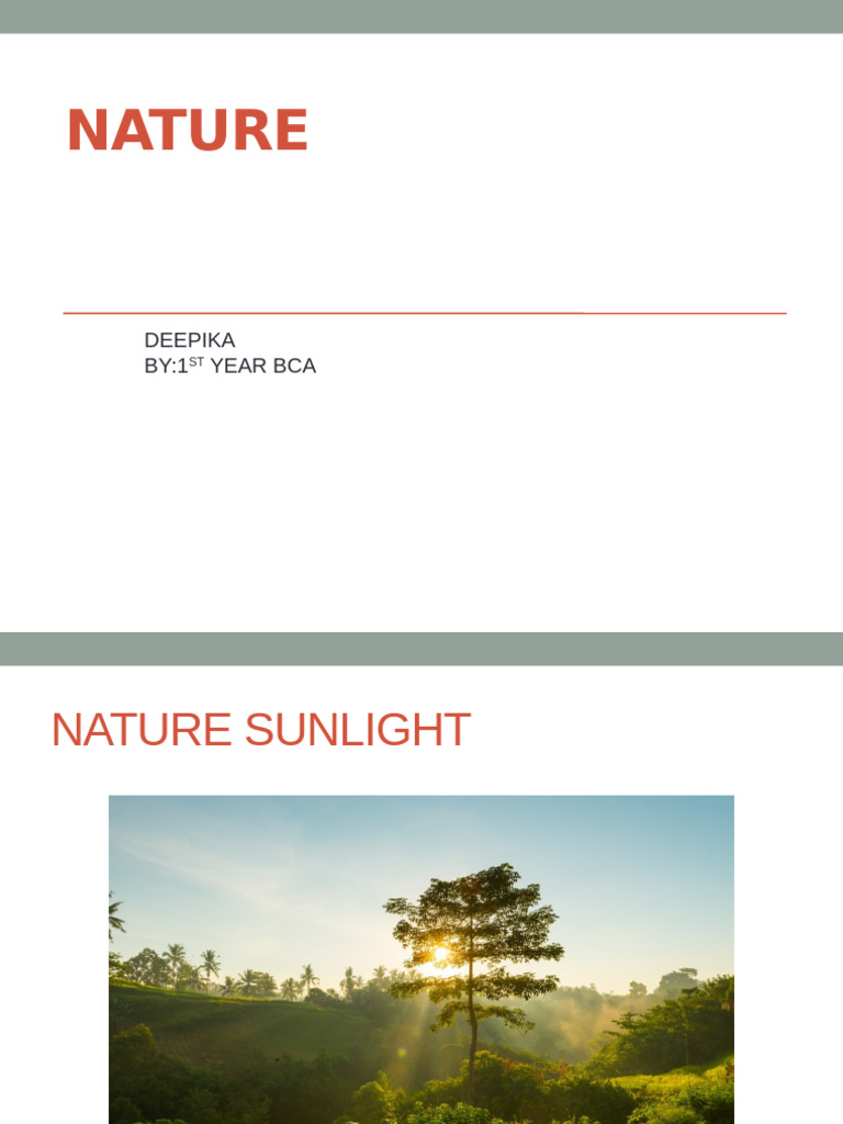 Protecting Nature's Beauty and Resources | PDF