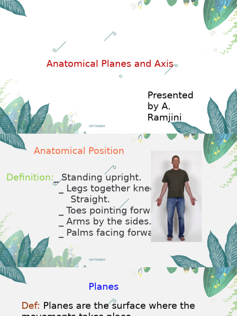 Anatomical Planes and Axis-1 | PDF | Anatomical Terms Of Motion ...