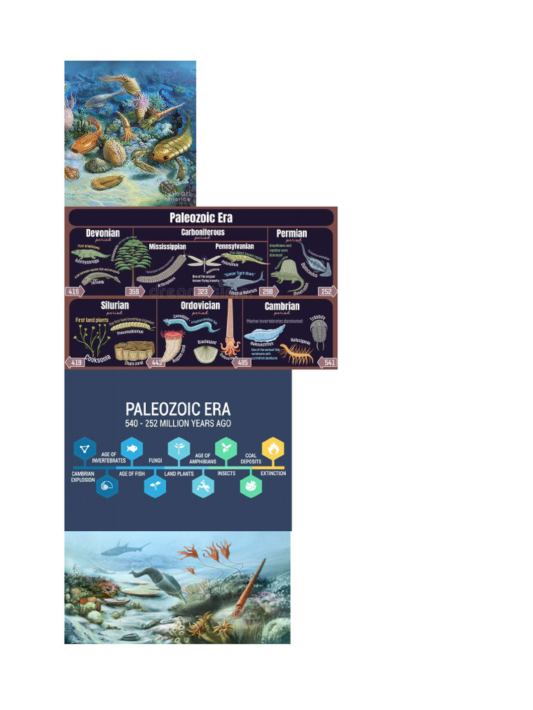 Paleozoic Era | PDF