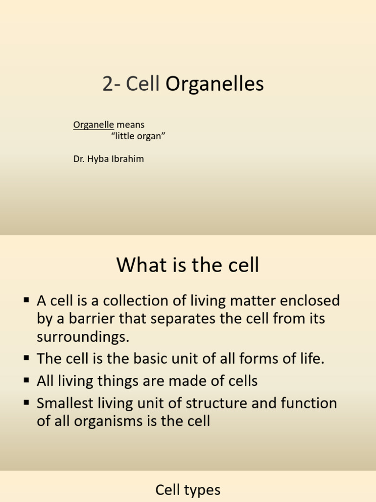 2-Cell Structure and Function | PDF | Cell (Biology) | Endoplasmic ...