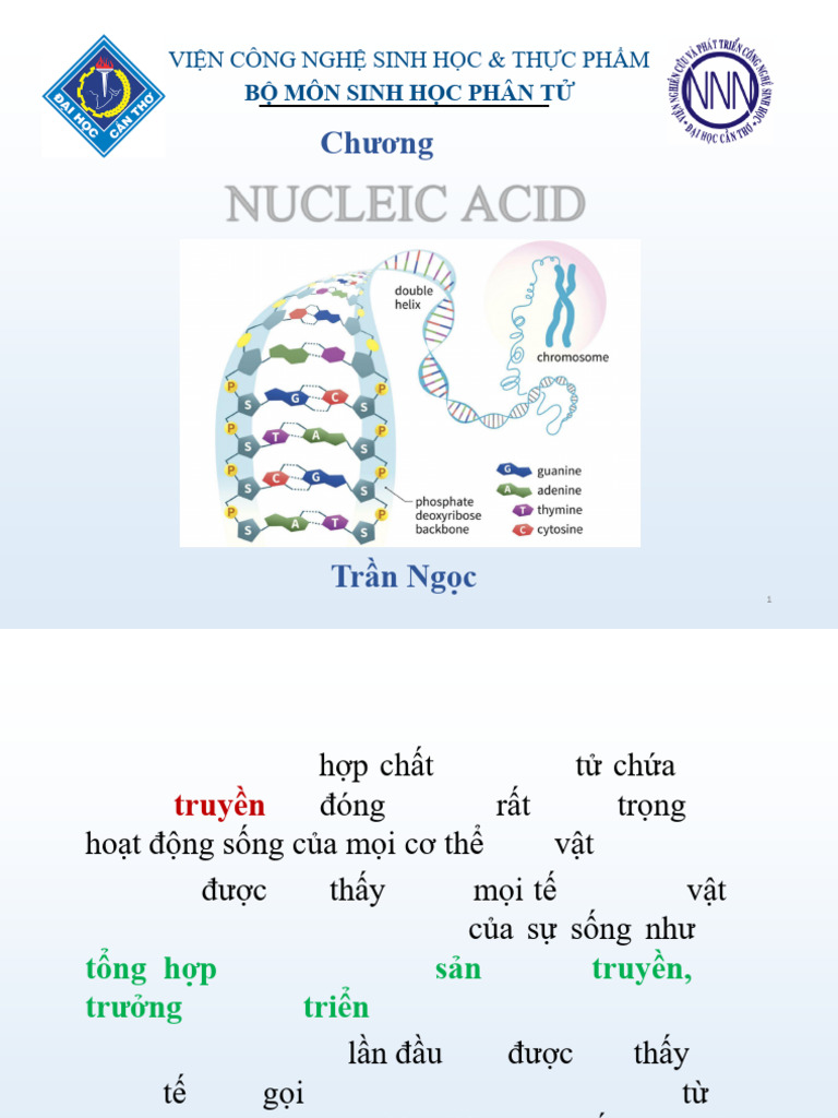 Chương 6 - Nucleic Acid - 2025 | PDF