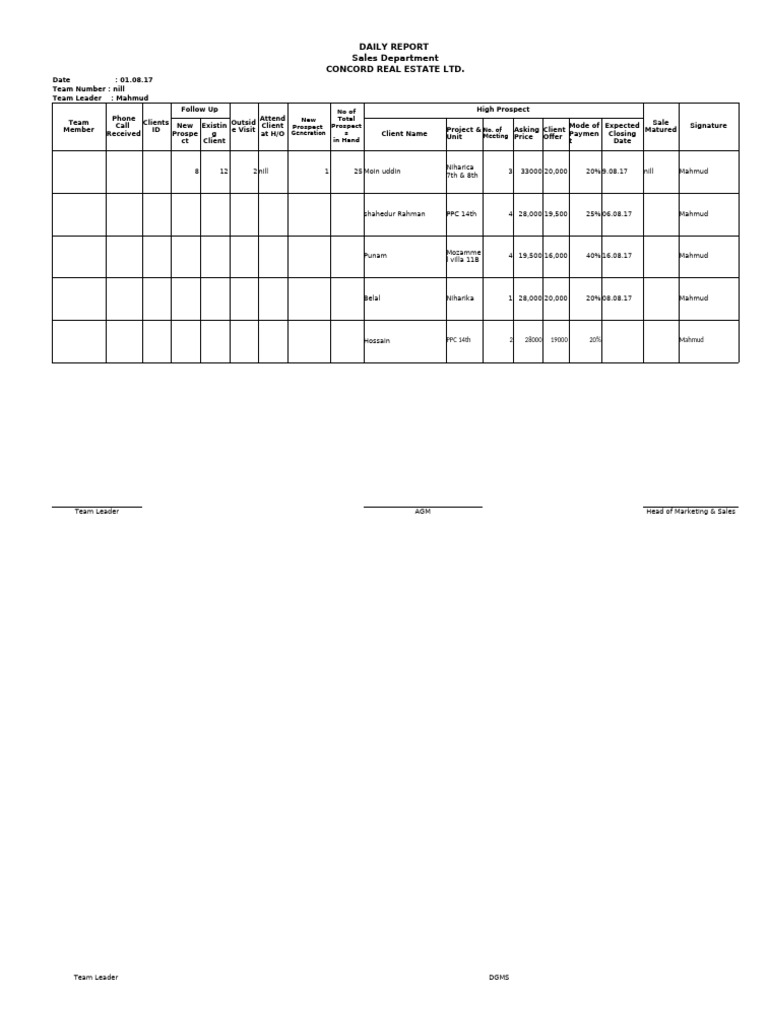 Daily Report Format | PDF