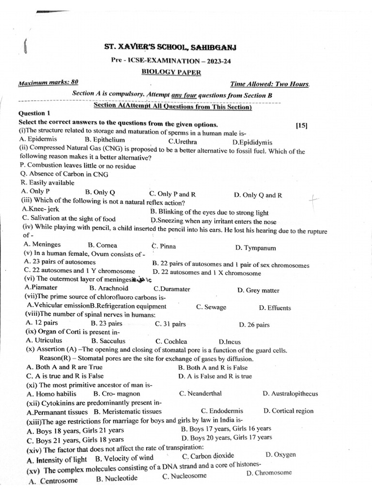 Pre Boards.. | PDF