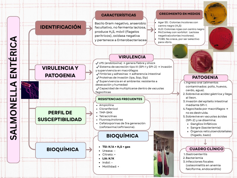 Brown and White Modern Minimalist Concept Map Graph (2) | PDF ...